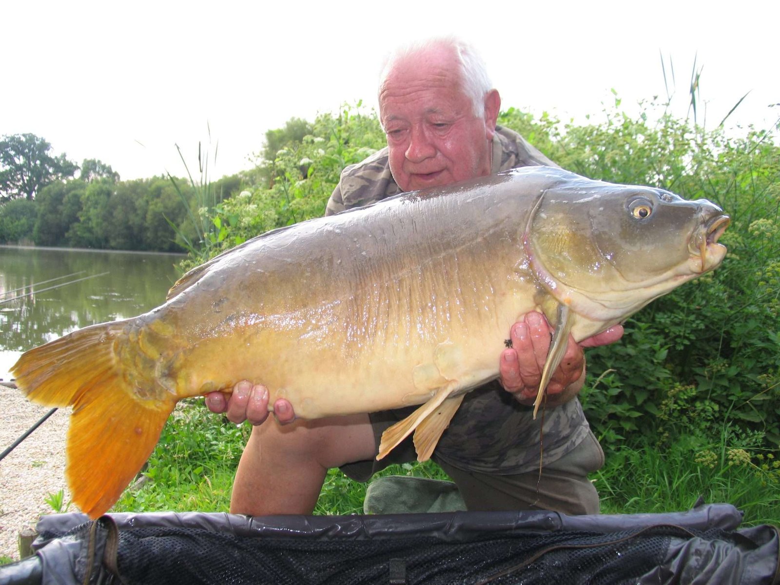 Family Carp Fishing - Latest News • Millers French Carp And Cats