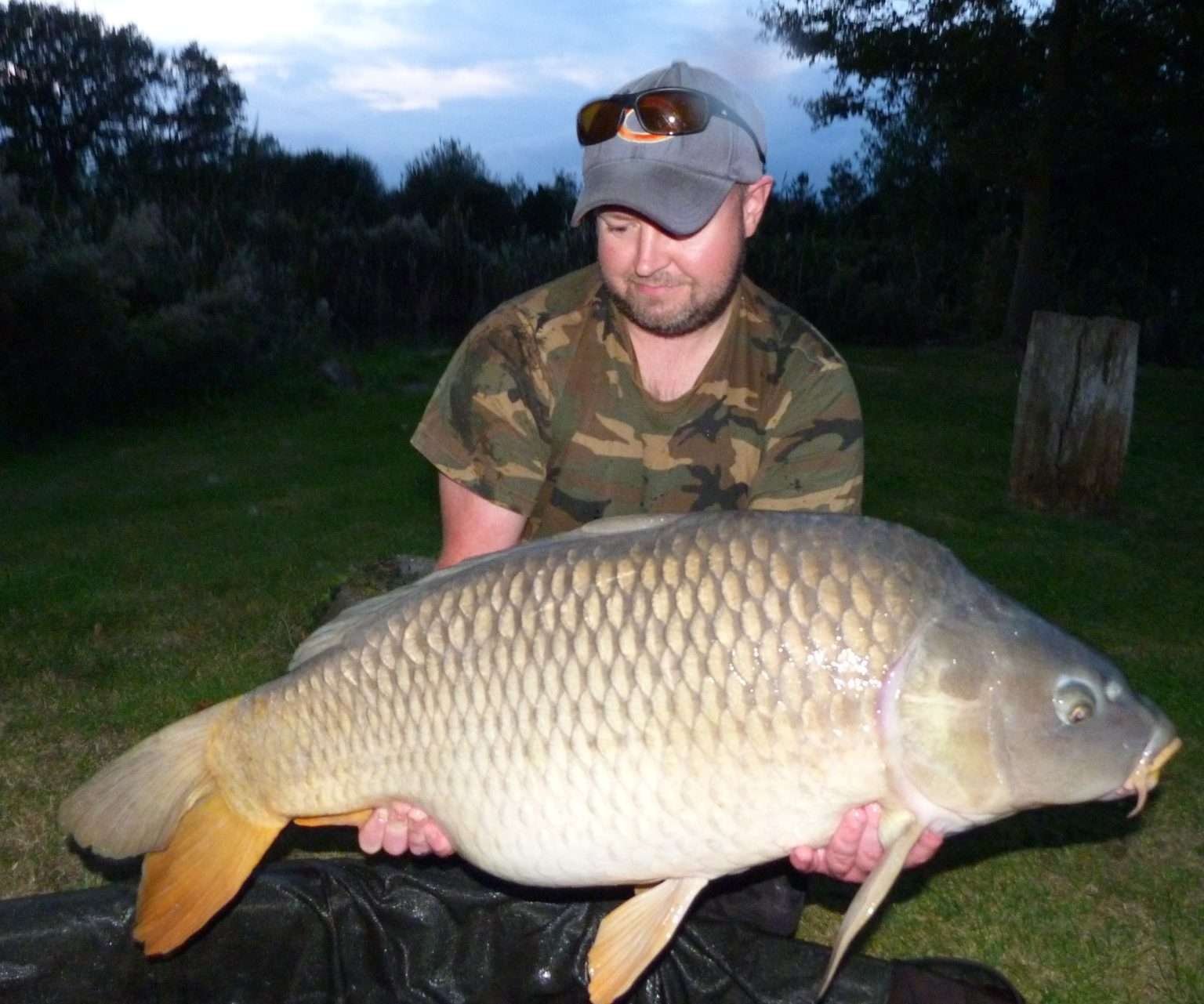 Family Carp Fishing - Latest News • Millers French Carp And Cats